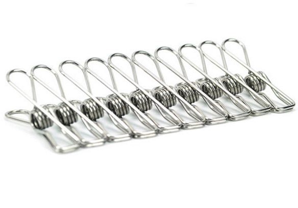 Stainless Steel Pegs (18 pack) | at Mighty Ape Australia