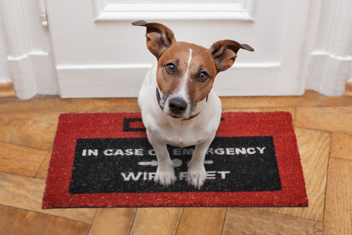 Emergency Door Mat - by Mustard | at Mighty Ape NZ