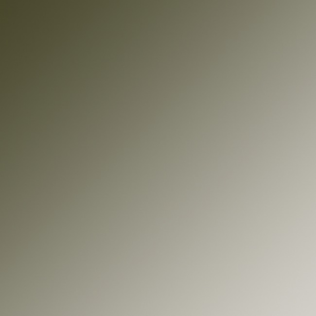 Citadel Shade Paint: Agrax Earthshade | at Mighty Ape NZ