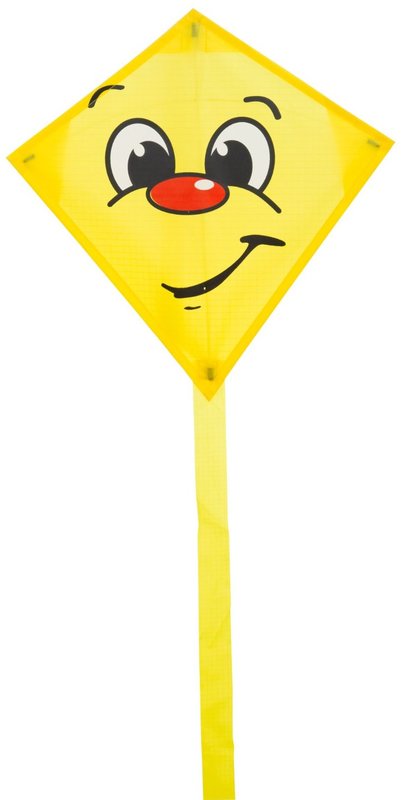Buy Mini Eddy Joker Single Line Kite - 12" Diamond at Mighty Ape NZ