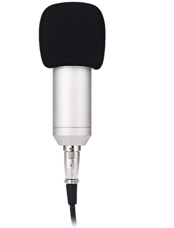 Pro Studio - Professional Broadcasting Microphone with Shockproof Mount ...