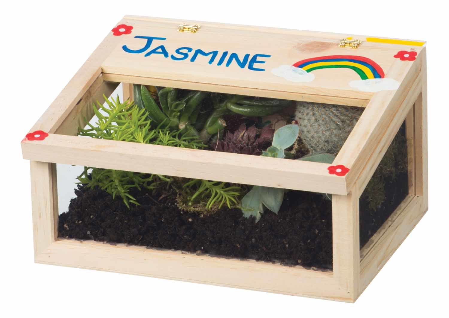 Buy Our Garden - Paint a Terrarium at Mighty Ape NZ