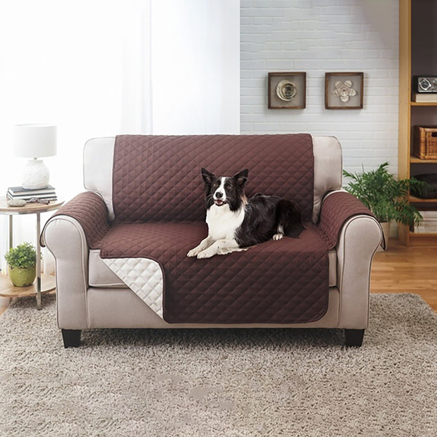 Buy Ape Basics: Wear-Resistant Pet Sofa Cushion Cover Medium at Mighty ...