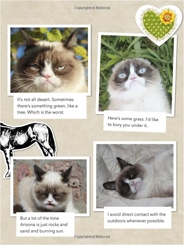 Grumpy Cat: A Grumpy Book | Grumpy Cat Book | In-Stock - Buy Now | at ...